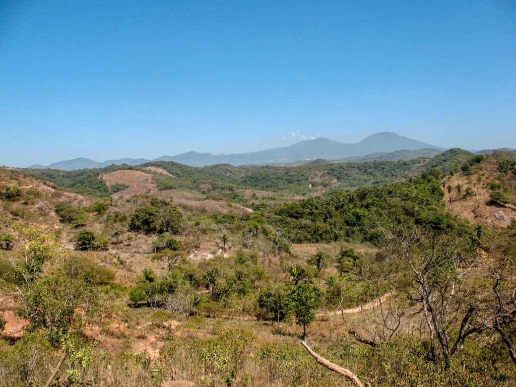 Cerro Cora Nationalpark – Paraguays größtes Naturschutzgebiet